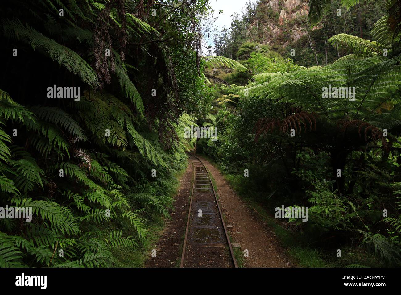 The Karangahake Gorge lies between the Coromandel and Kaimai ranges, at ...