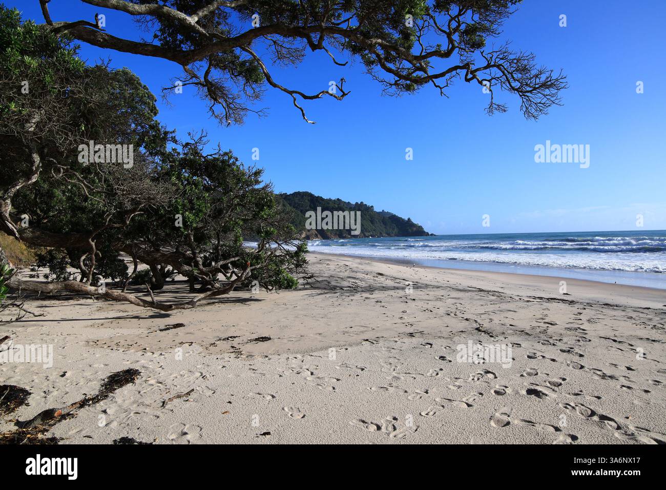 Waihī Beach is a coastal town at the western end of the Bay of Plenty ...