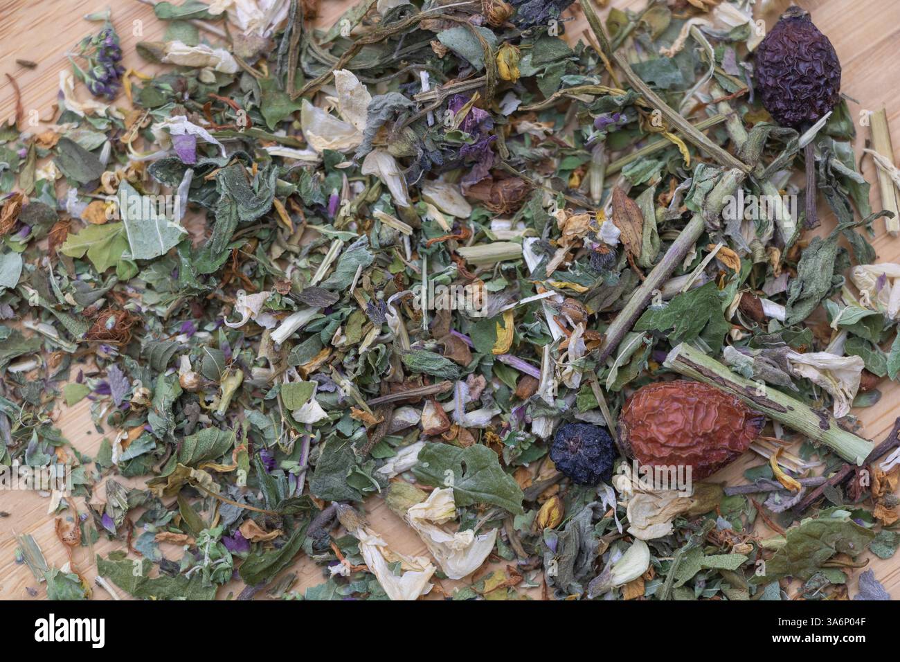Diverse blend hi-res stock photography and images - Alamy