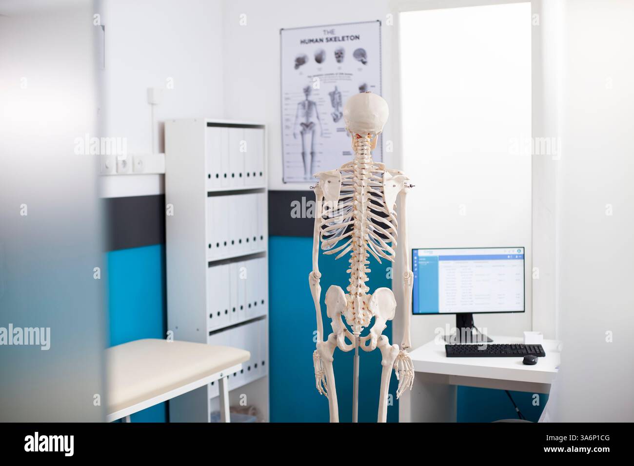 Empty clinical room with skeletal model highlighting the detailed spine ...