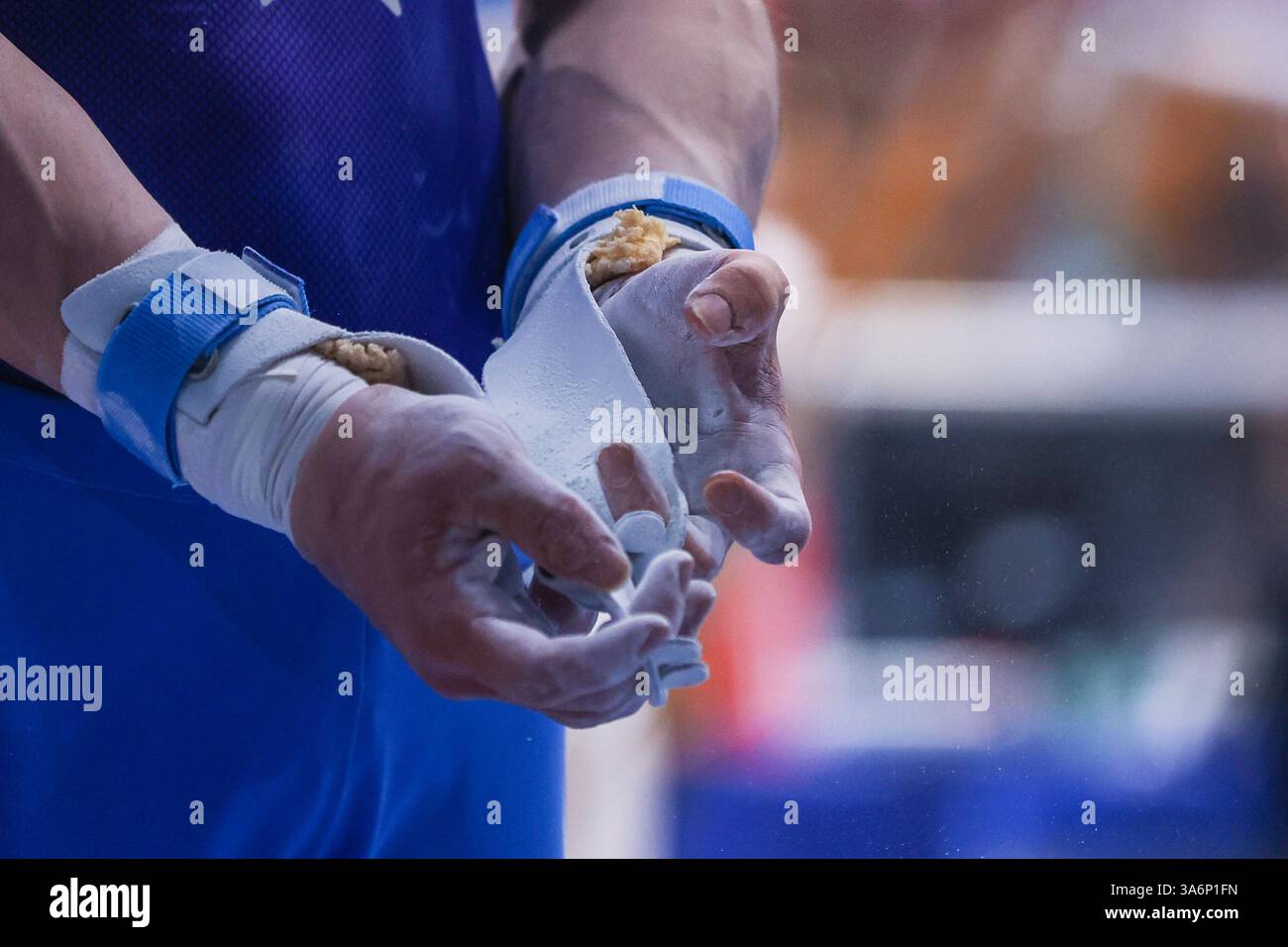 Desio, Italien. 22nd Mar, 2025. Pro Patria Bustese detail during ...