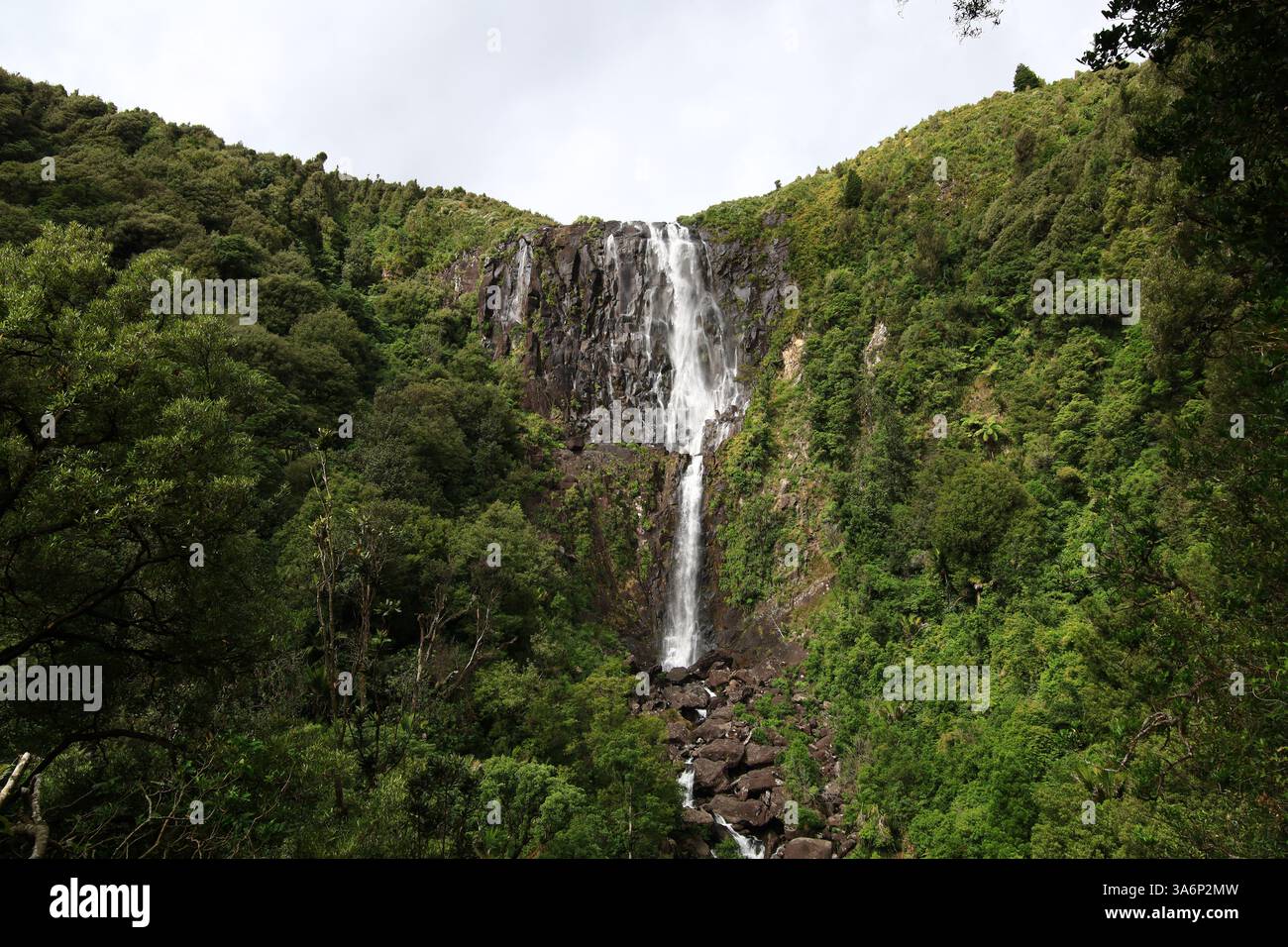Wairere Falls is the highest waterfall in New Zealand's North Island ...