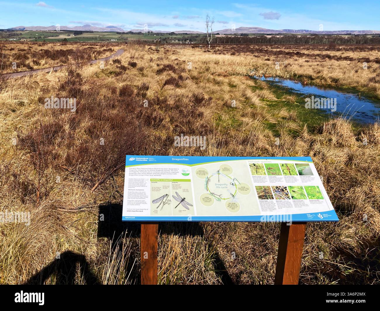Information board and a view across the raised peat bog at Flanders ...