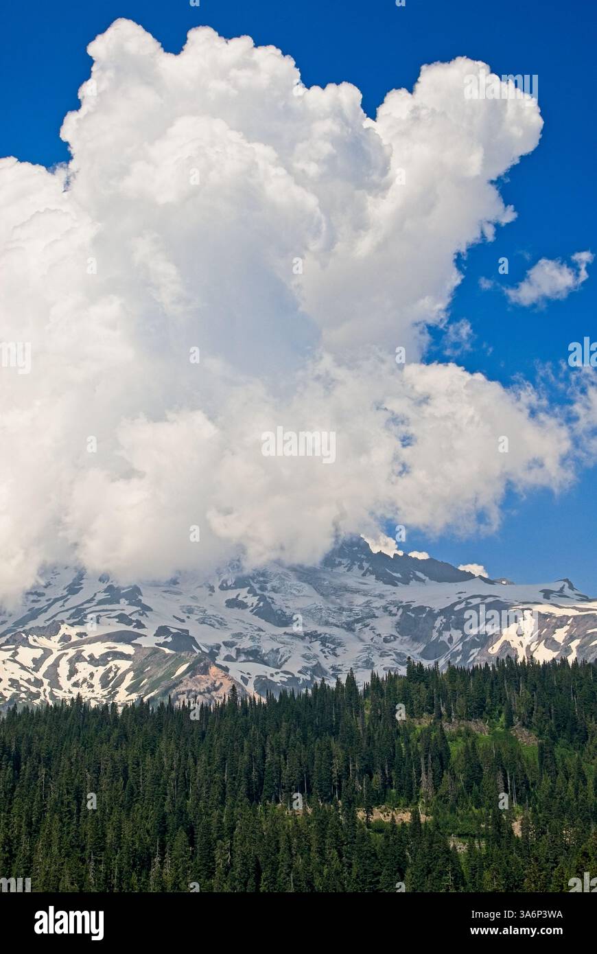 Snow capped mount Rainier under towering clouds in Mount Rainier ...