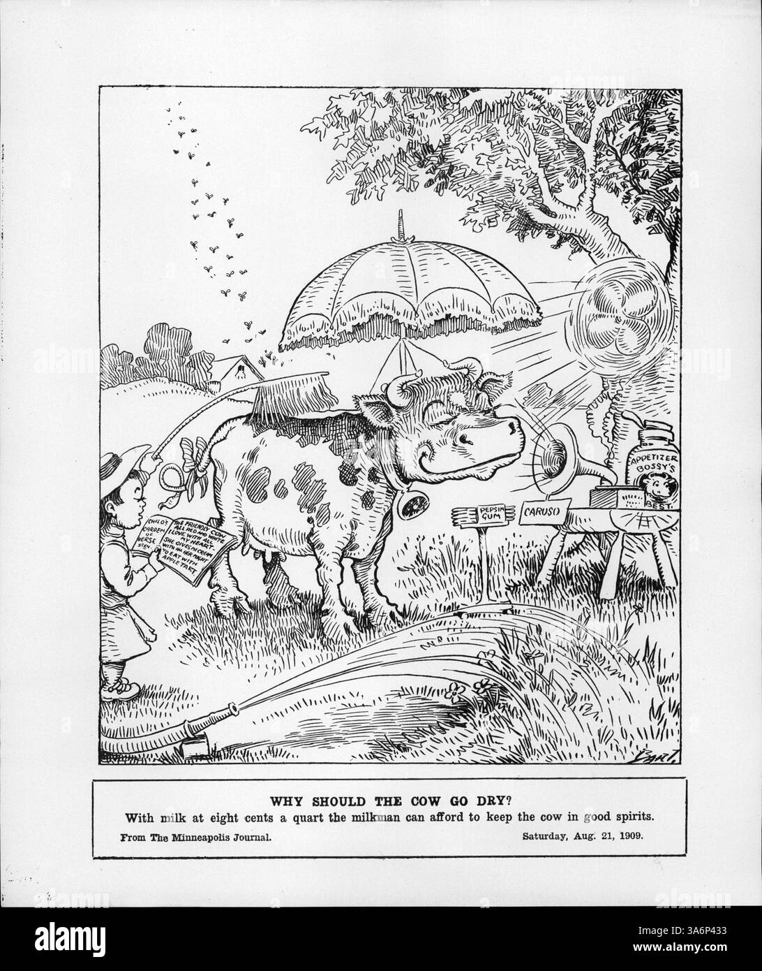 This humorous cartoon portrays a milkman pampering a cow hi-res stock ...