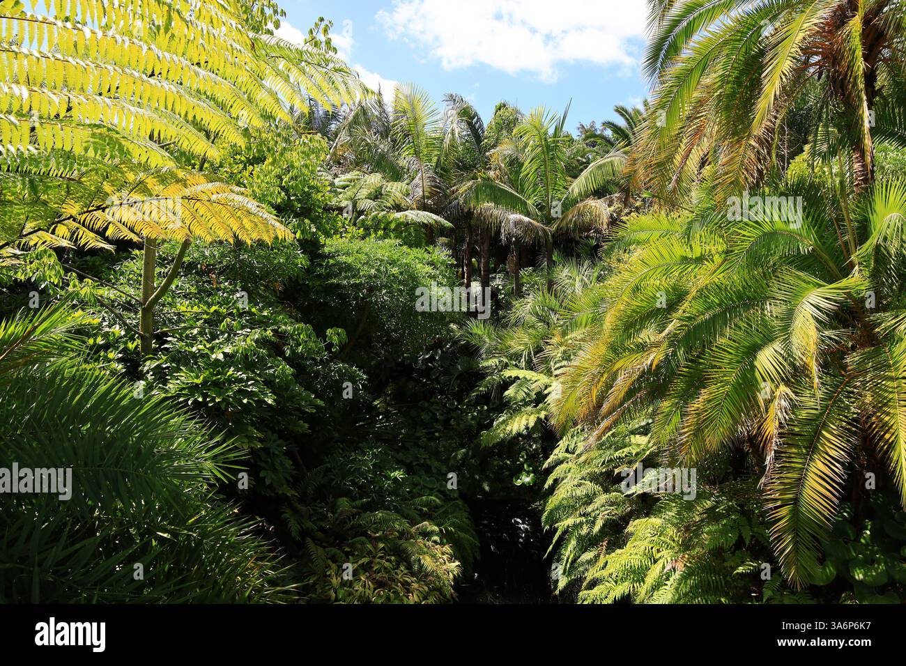 Hamilton Gardens is a public garden park in the south of Hamilton owned ...