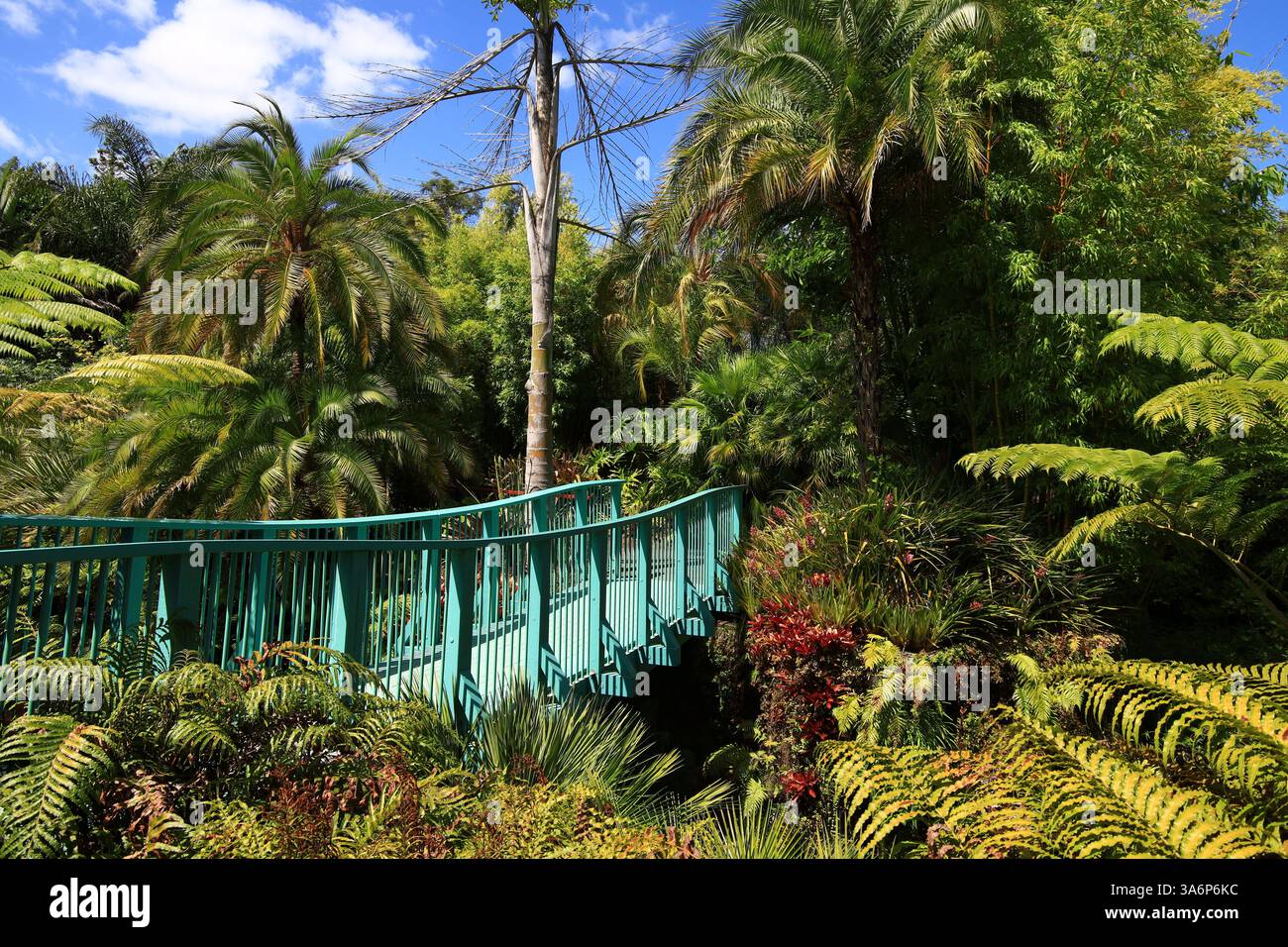 Hamilton Gardens is a public garden park in the south of Hamilton owned ...