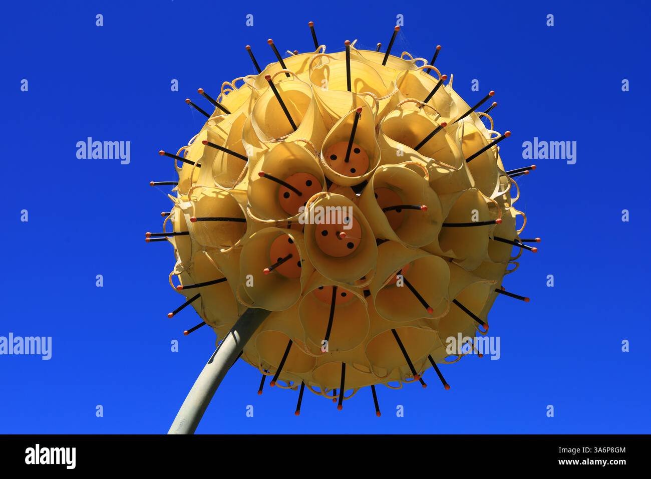 Sculptureum is a sculpture museum located in Matakana in the Rodney ...