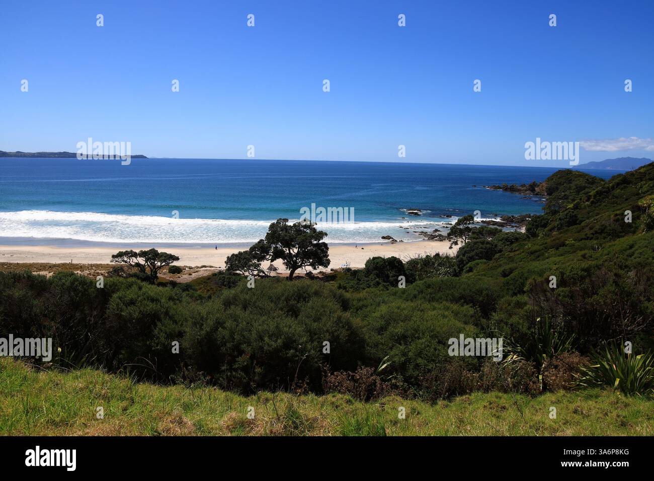 Tawharanui Regional Park is located in the Auckland region, in the ...