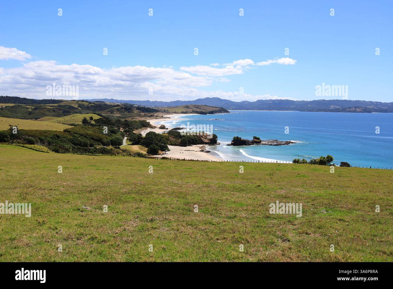 Tawharanui Regional Park is located in the Auckland region, in the ...