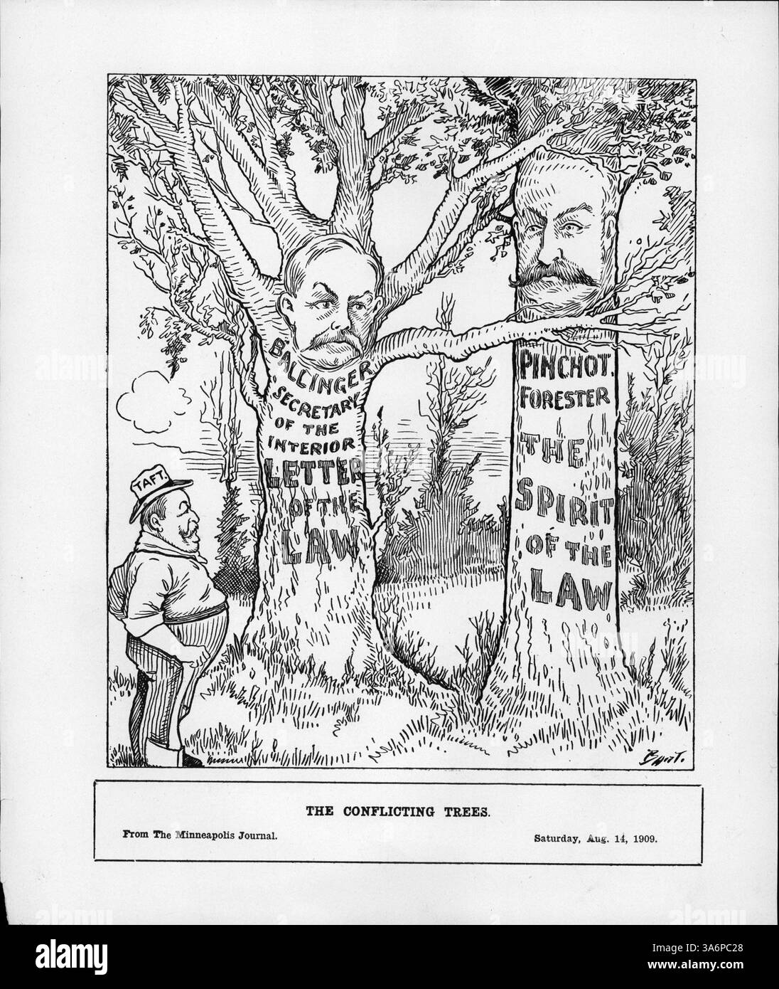 'The Conflicting Trees' illustrates the clash between Secretary of the ...