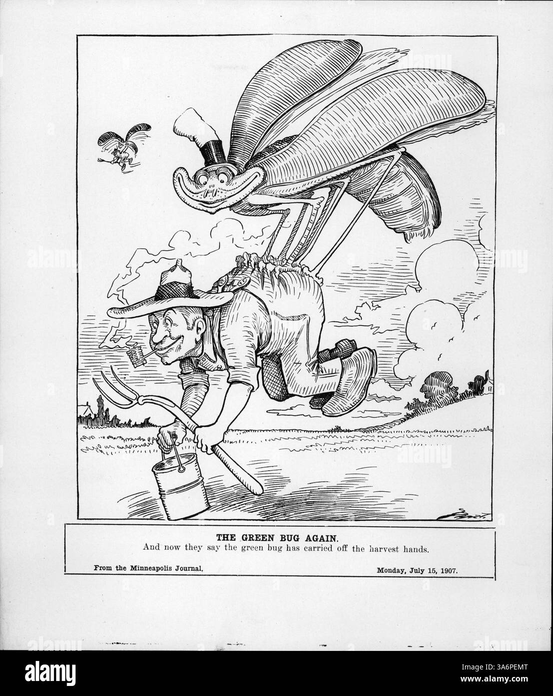 The Green Bug, a form of grain aphid, caused widespread crop damage in ...