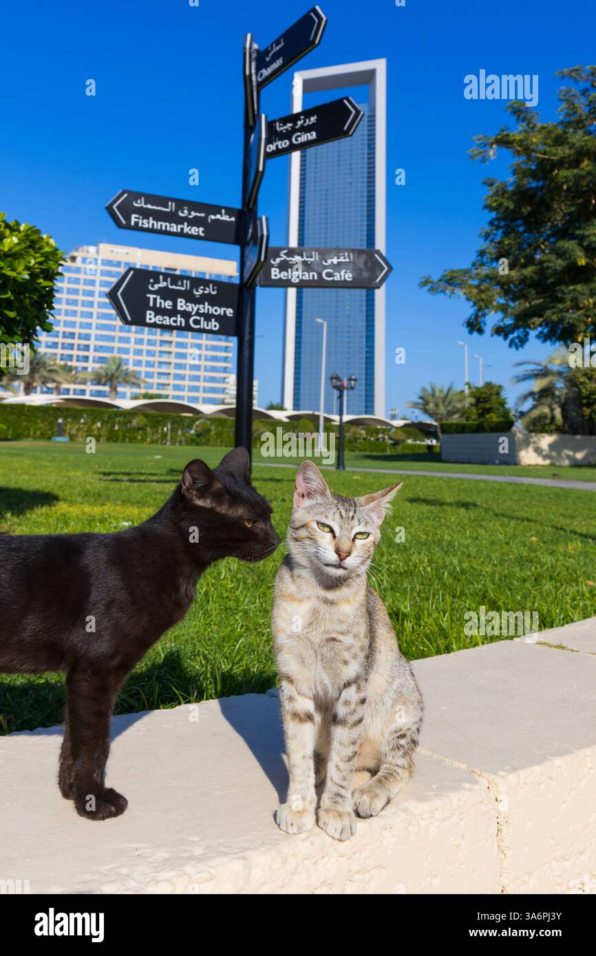Adnoc headquarters tower in abu hi-res stock photography and images - Alamy