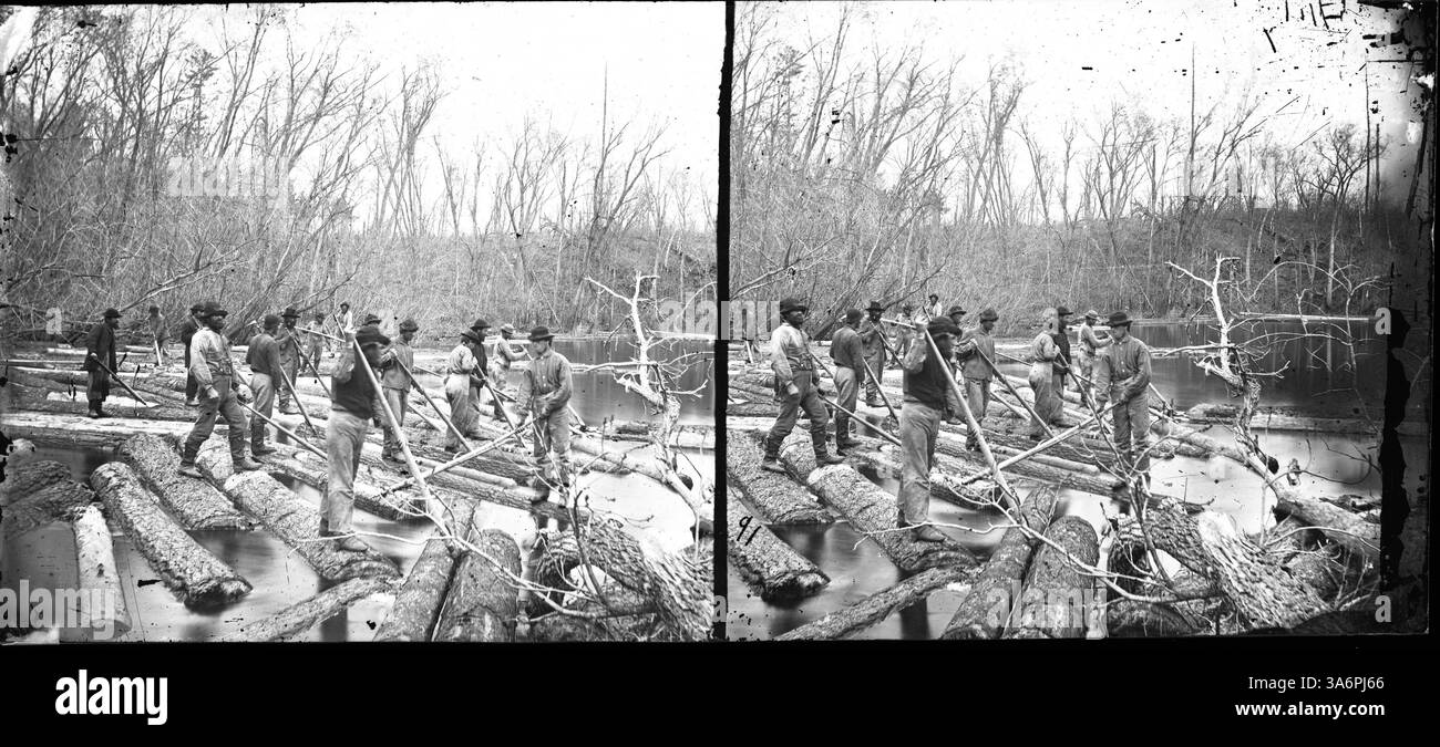 19th century logging hi-res stock photography and images - Alamy