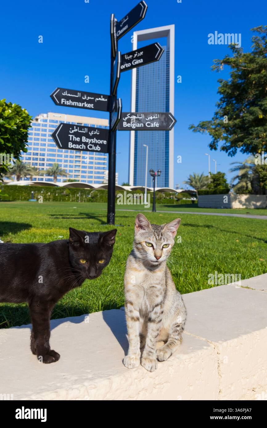The ADNOC (Abu Dhabi National Oil Company) Headquarters in Abu Dhabi ...