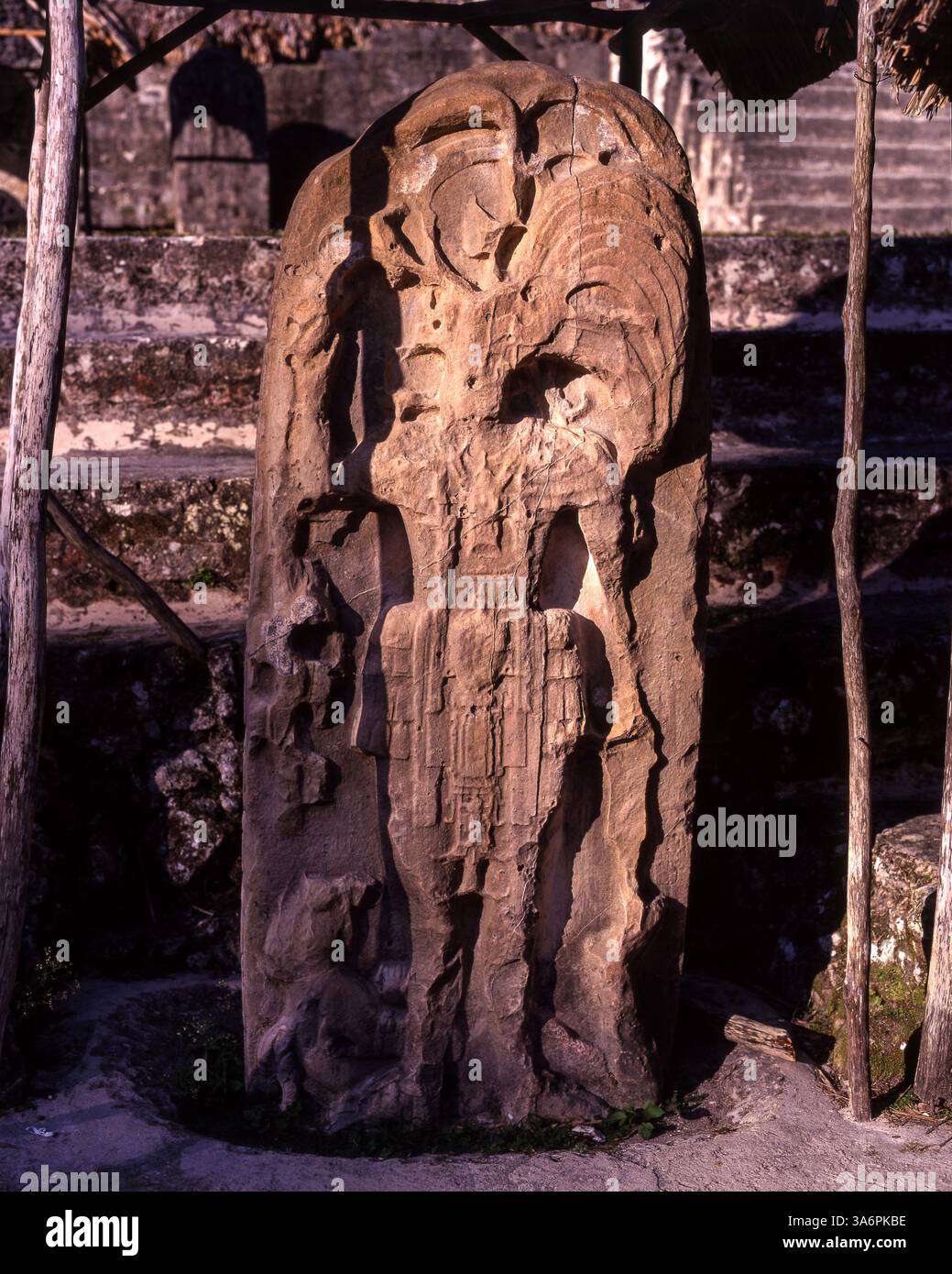 Tikal National Park and Archaeological Zone,Mayan stele Stock Photo - Alamy