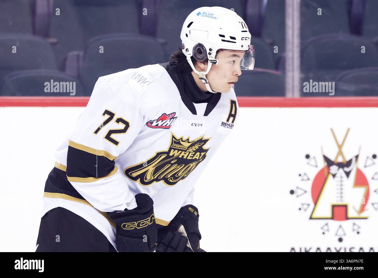 Profile photo on Brandon Wheat Kings RW Marcus Nguyen during WHL ...