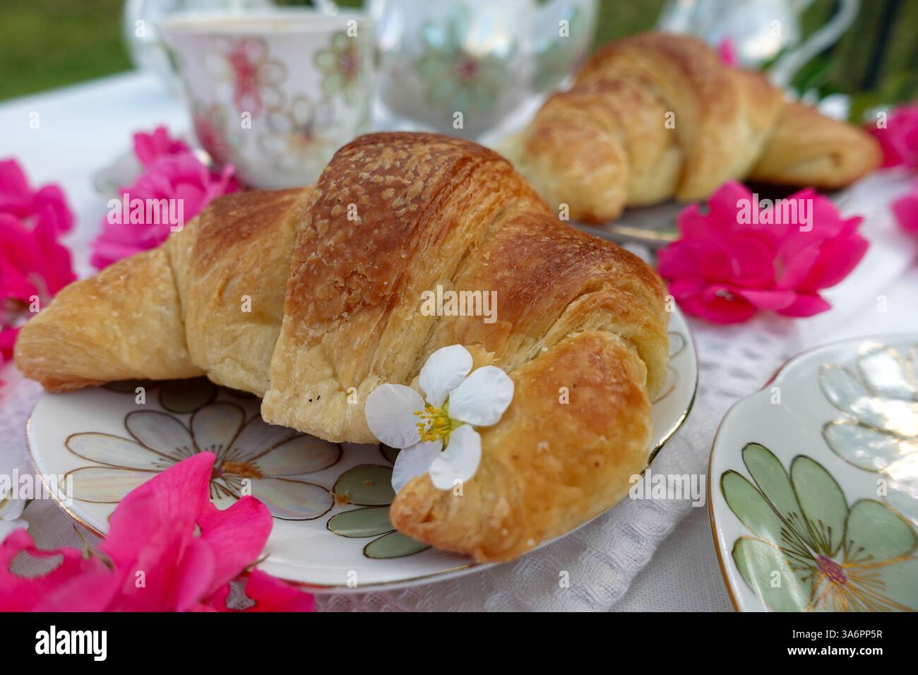 Elegant Outdoor Tea Time with Croissant Stock Photo - Alamy