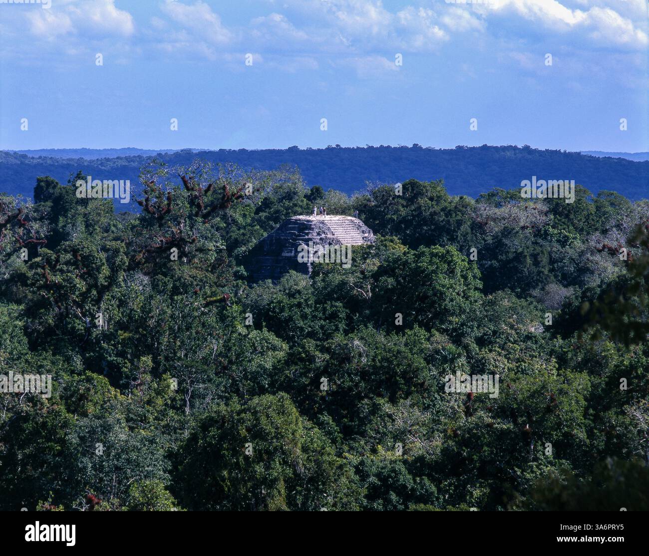 Tikal National Park and Archaeological Zone,central pyramid of the Lost ...