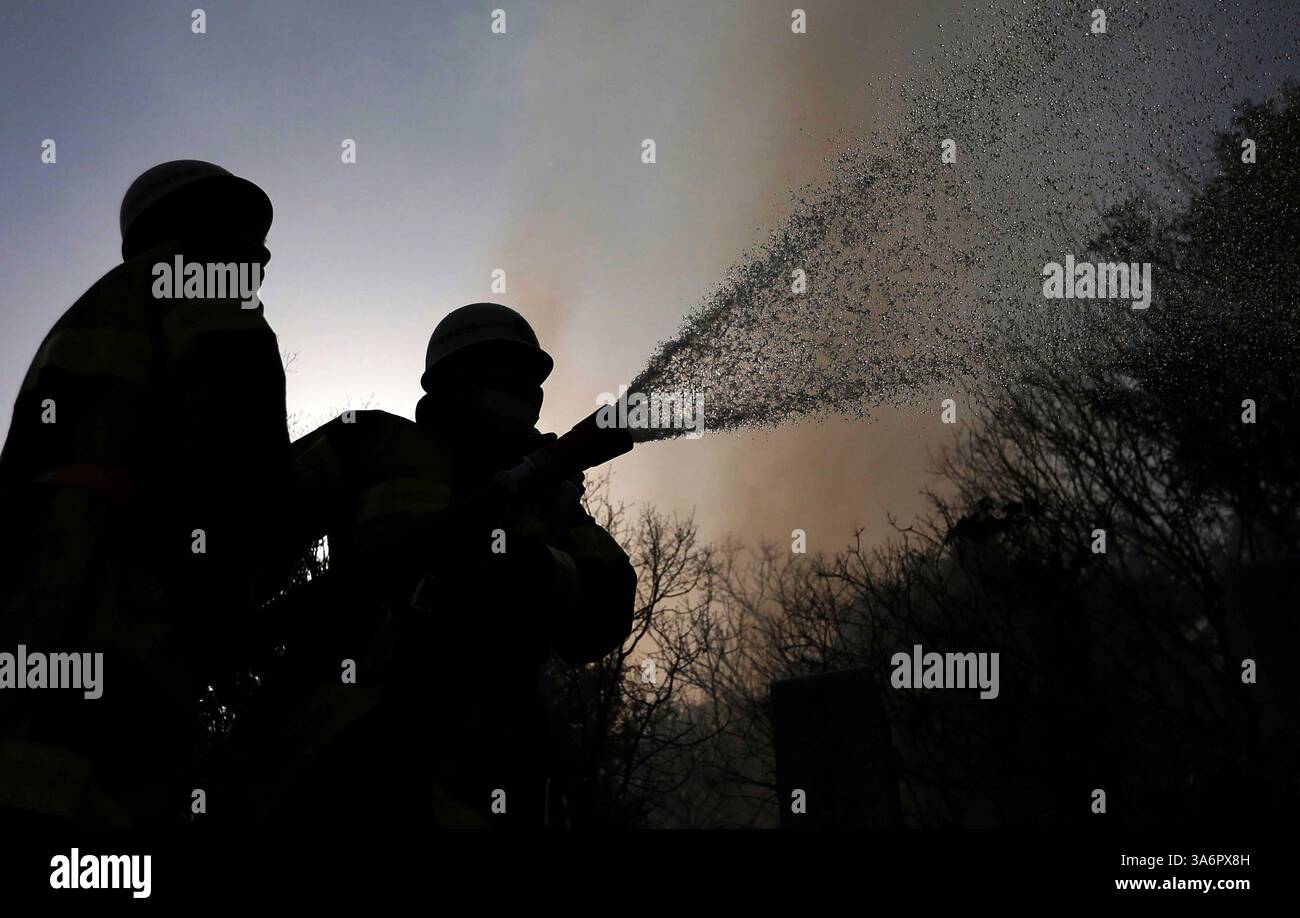 A photo shows a spreading forest fire in Imabari City, Ehime Prefecture ...