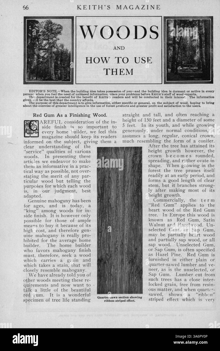 Detailed descriptions with construction costs the magazine hi-res stock ...