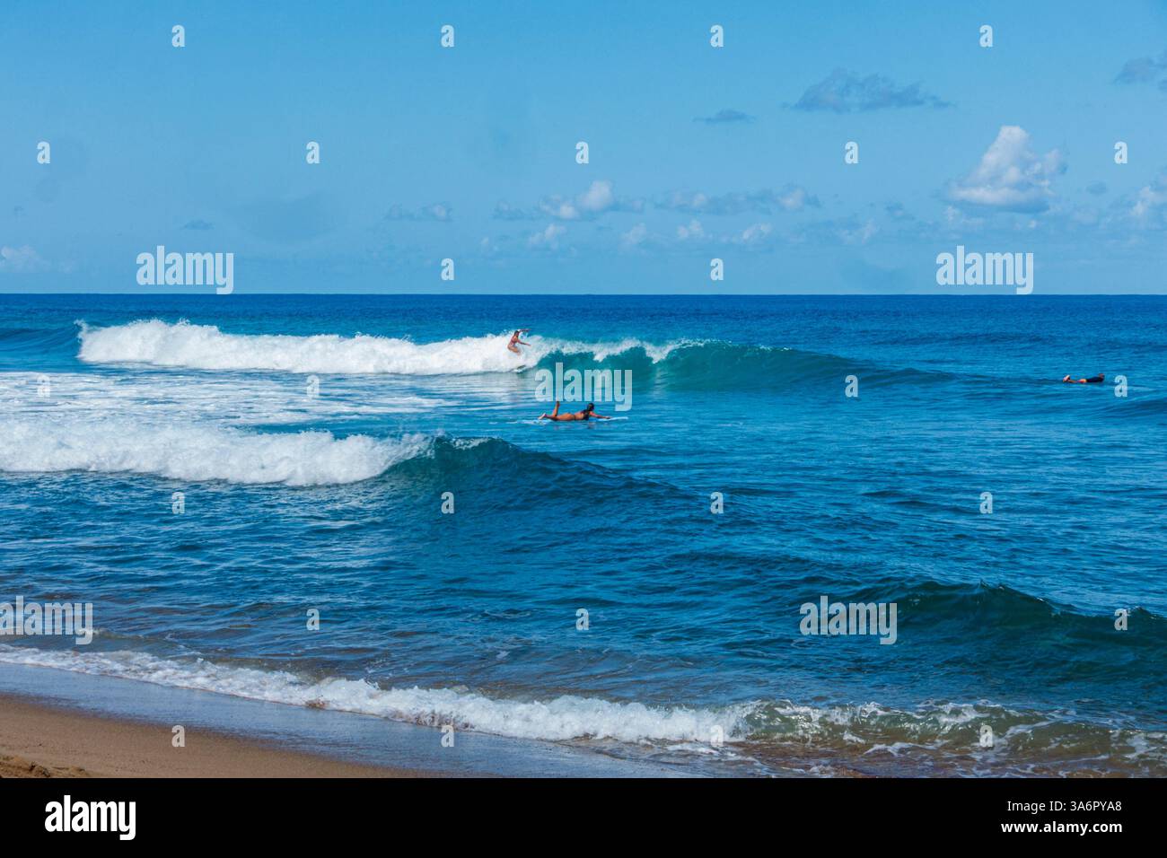 Rincón, PR - US - Mar 16, 2025 Surfers at Domes Beach in Rincón ride ...