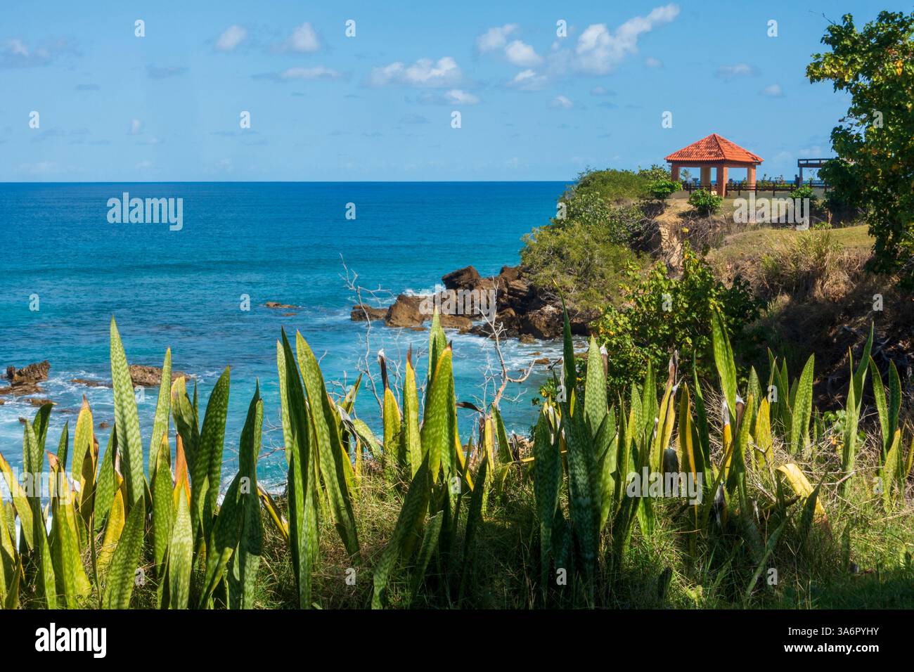 The stunning seaside view of Rincón showcases crystal-clear blue waters ...