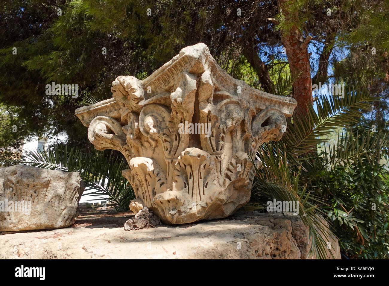 Ancient Corinthian Column Capital Ruins Stock Photo - Alamy