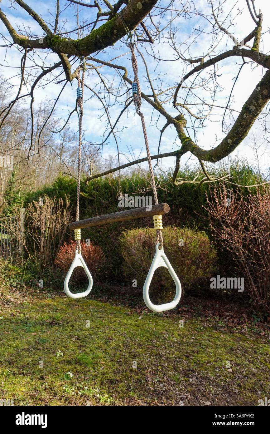 Rustic Gymnastic Rings Swing Hanging from Tree Stock Photo - Alamy