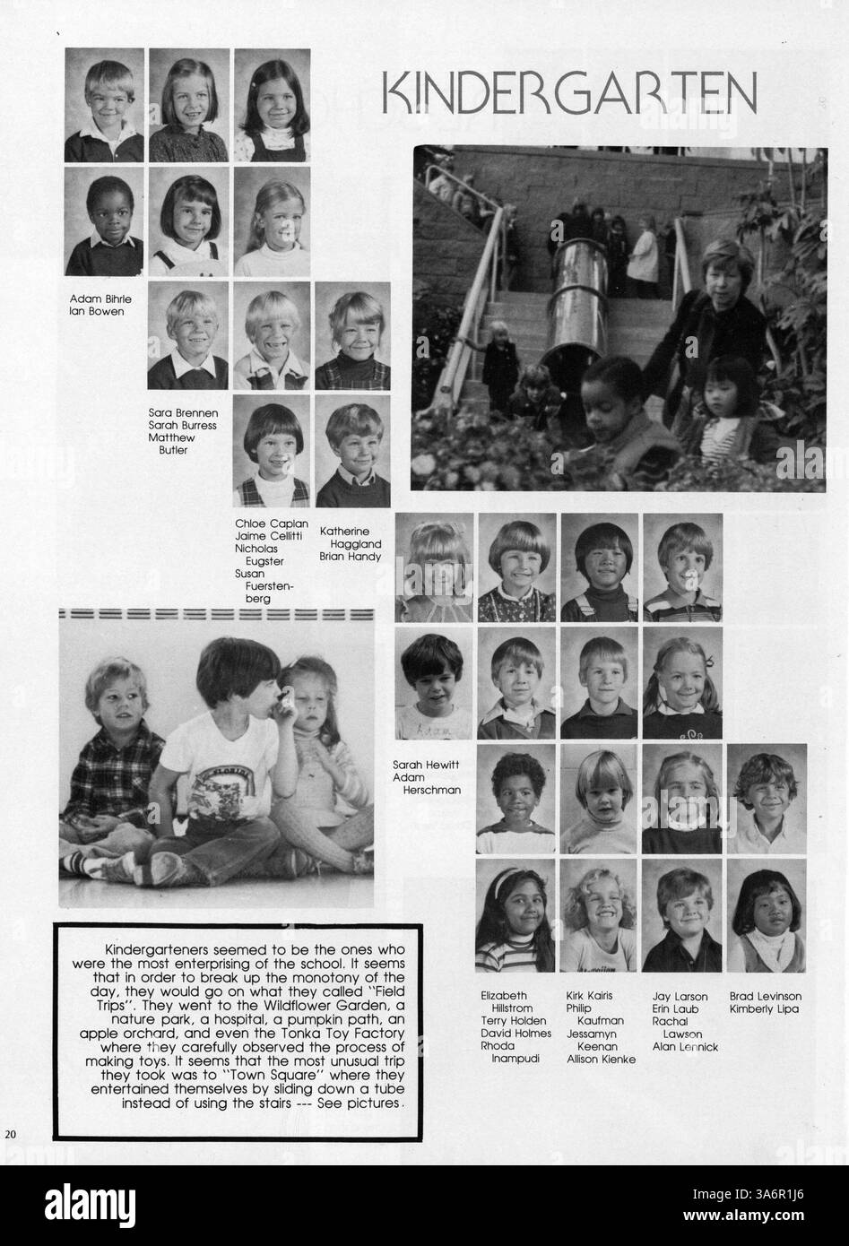 The 1982 'Breck Mustang' yearbook captures the key moments of the 1981 ...