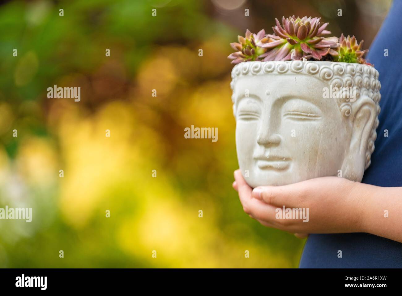 Succulent Plant in Buddha Head Pot.Sempervivum sedum.sustainable design ...