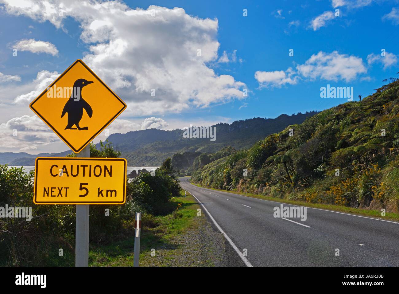 Penguin crossing road sign, South Island, New Zealand Stock Photo - Alamy