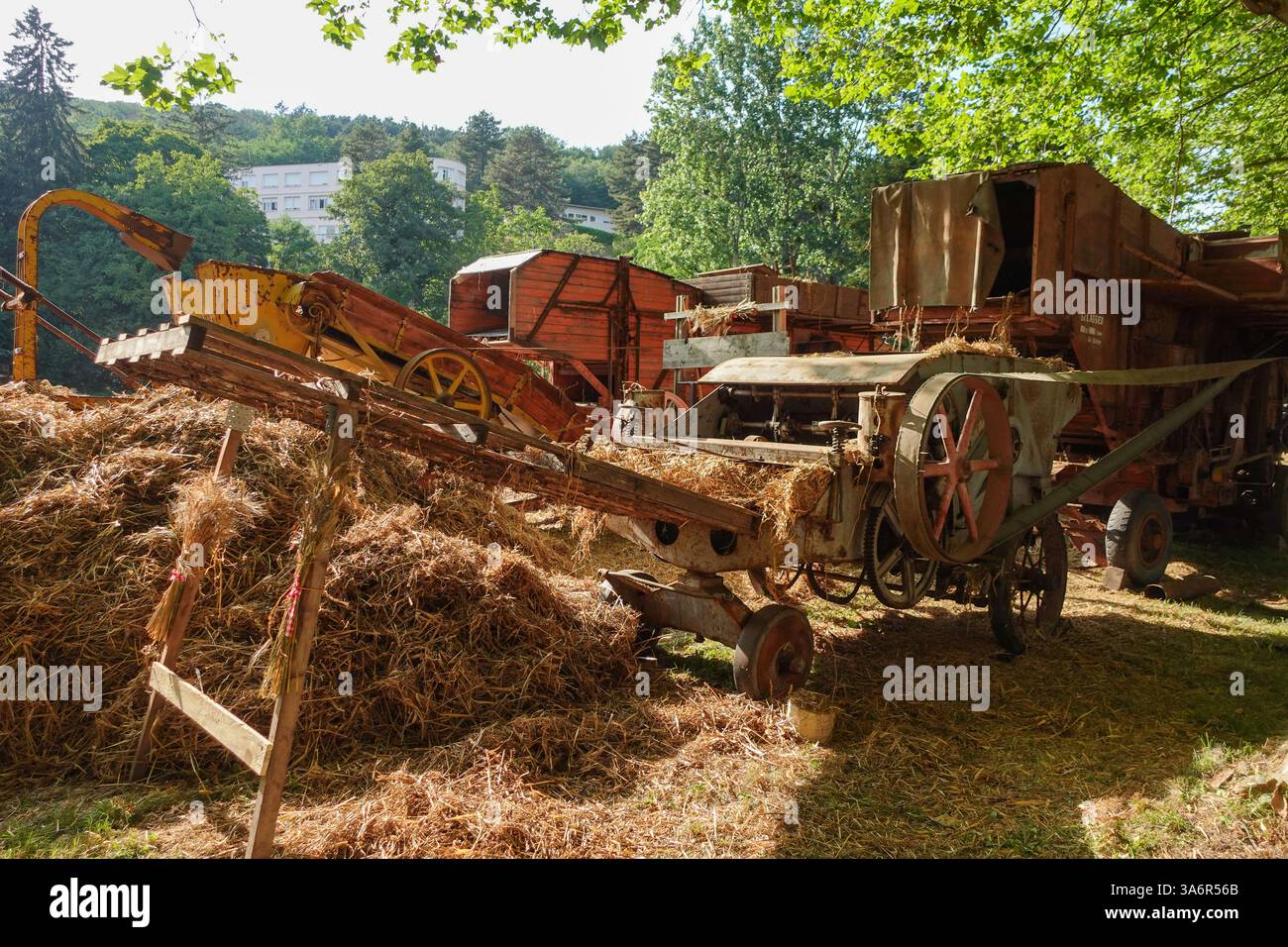 Vintage Threshing Machine Processing Straw Outdoors Stock Photo - Alamy