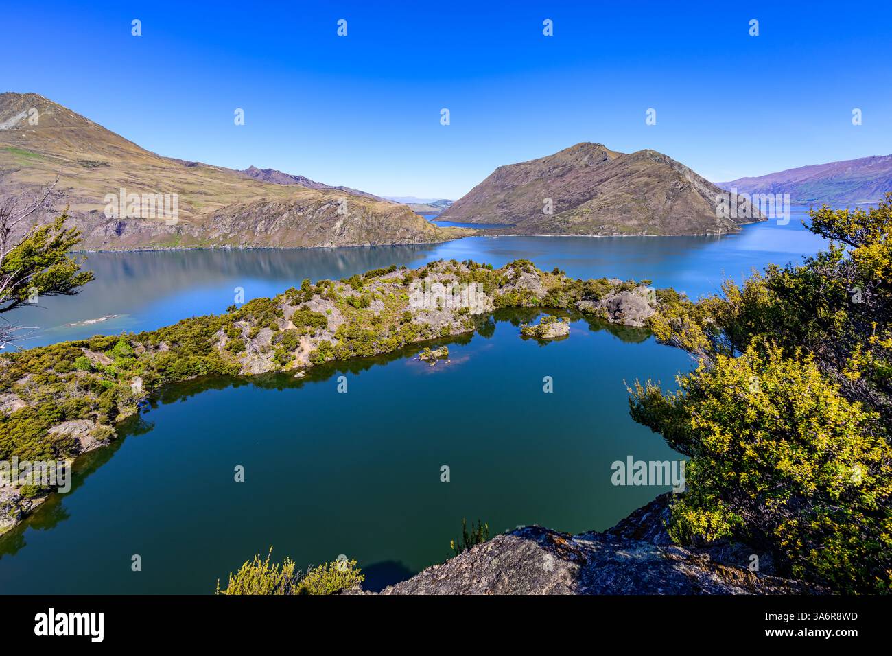 The journey to the magical Mou Waho Island on the South Island of New ...