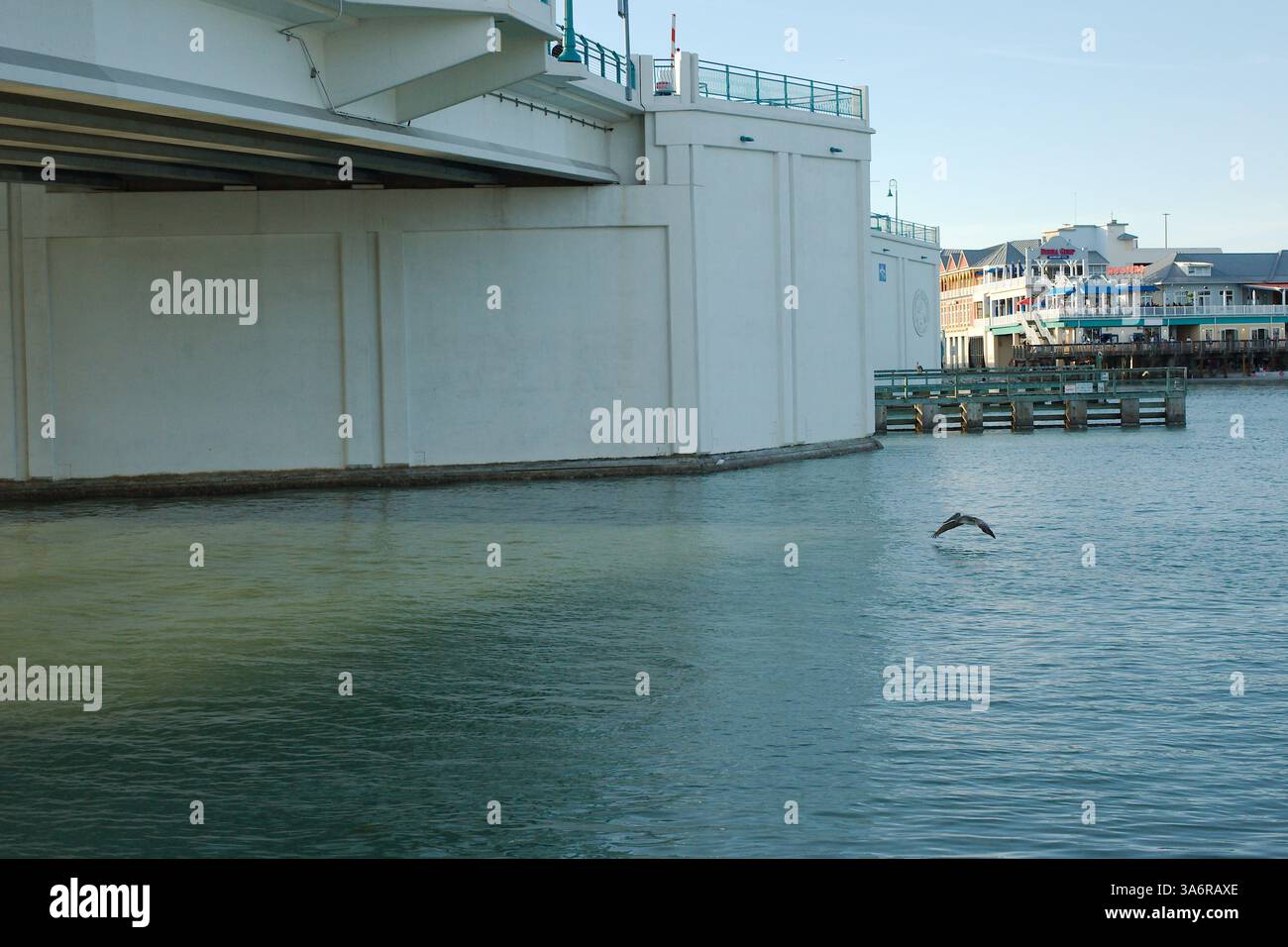View with drawbridge on the left. Brown Pelican flying low over water ...