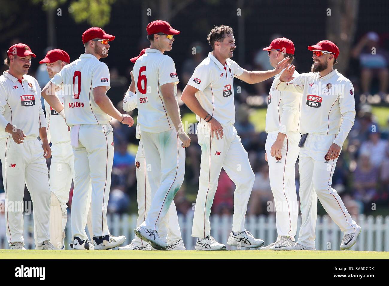 Jordan Buckingham of South Australia celebrates taking the wicket of ...