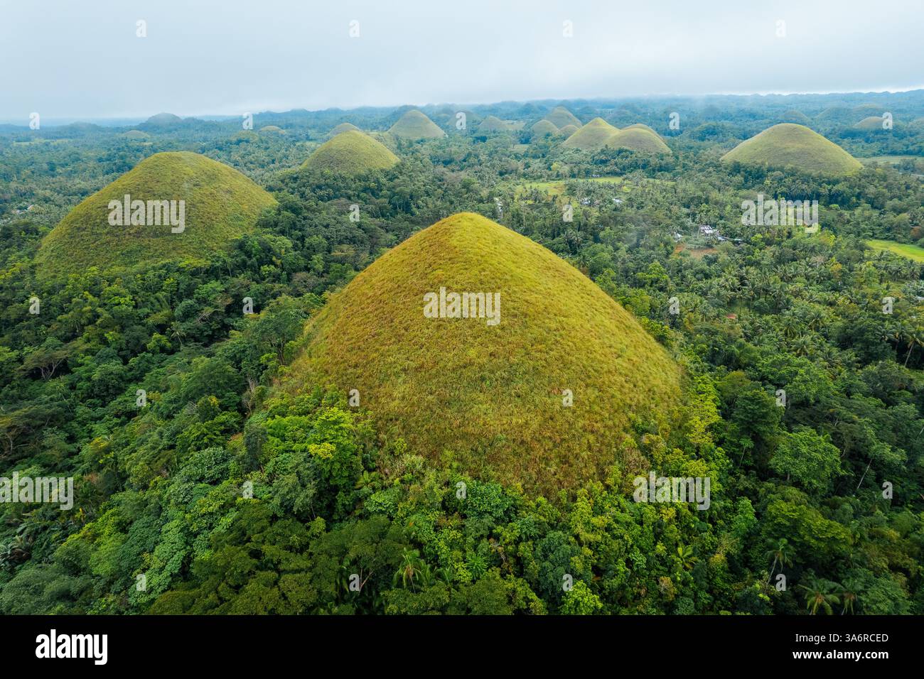 Breathtaking Aerial View of the Bohol Chocolate Hills, Philippines – A ...