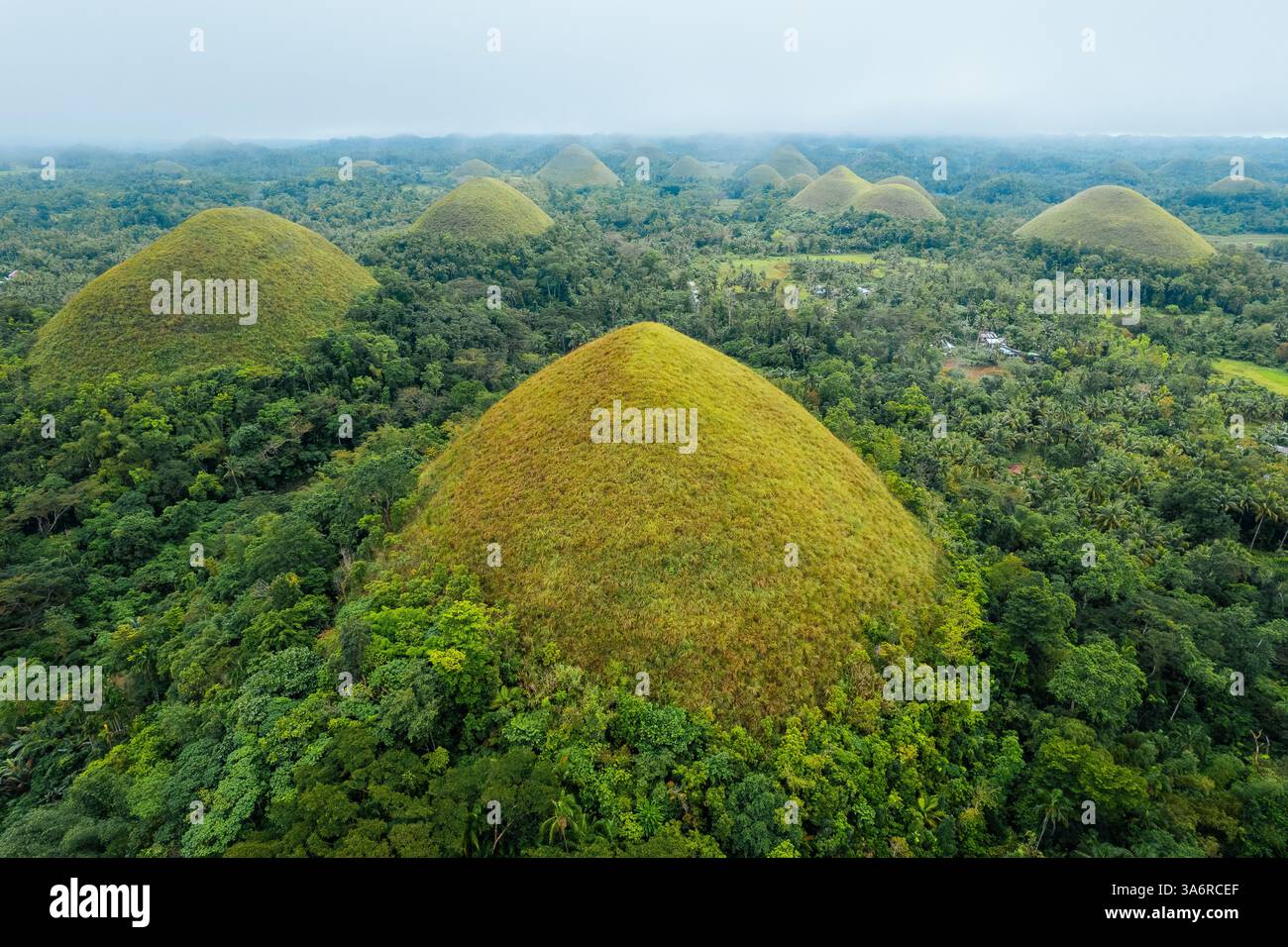 Breathtaking Aerial View of the Bohol Chocolate Hills, Philippines – A ...