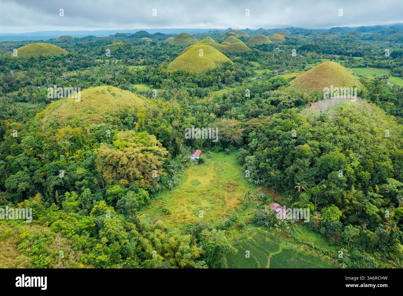 Breathtaking Aerial View of the Bohol Chocolate Hills, Philippines – A ...