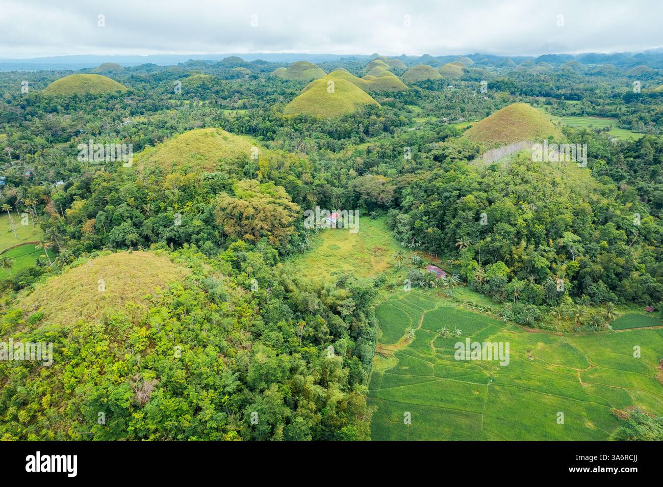 Breathtaking Aerial View of the Bohol Chocolate Hills, Philippines – A ...