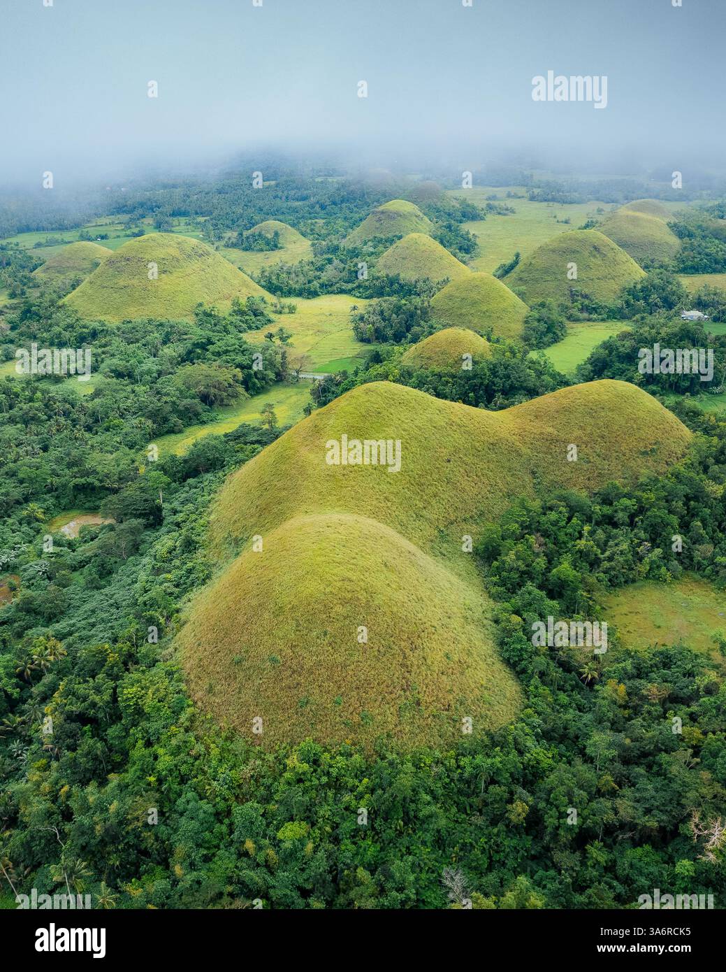 Breathtaking Aerial View of the Bohol Chocolate Hills, Philippines – A ...