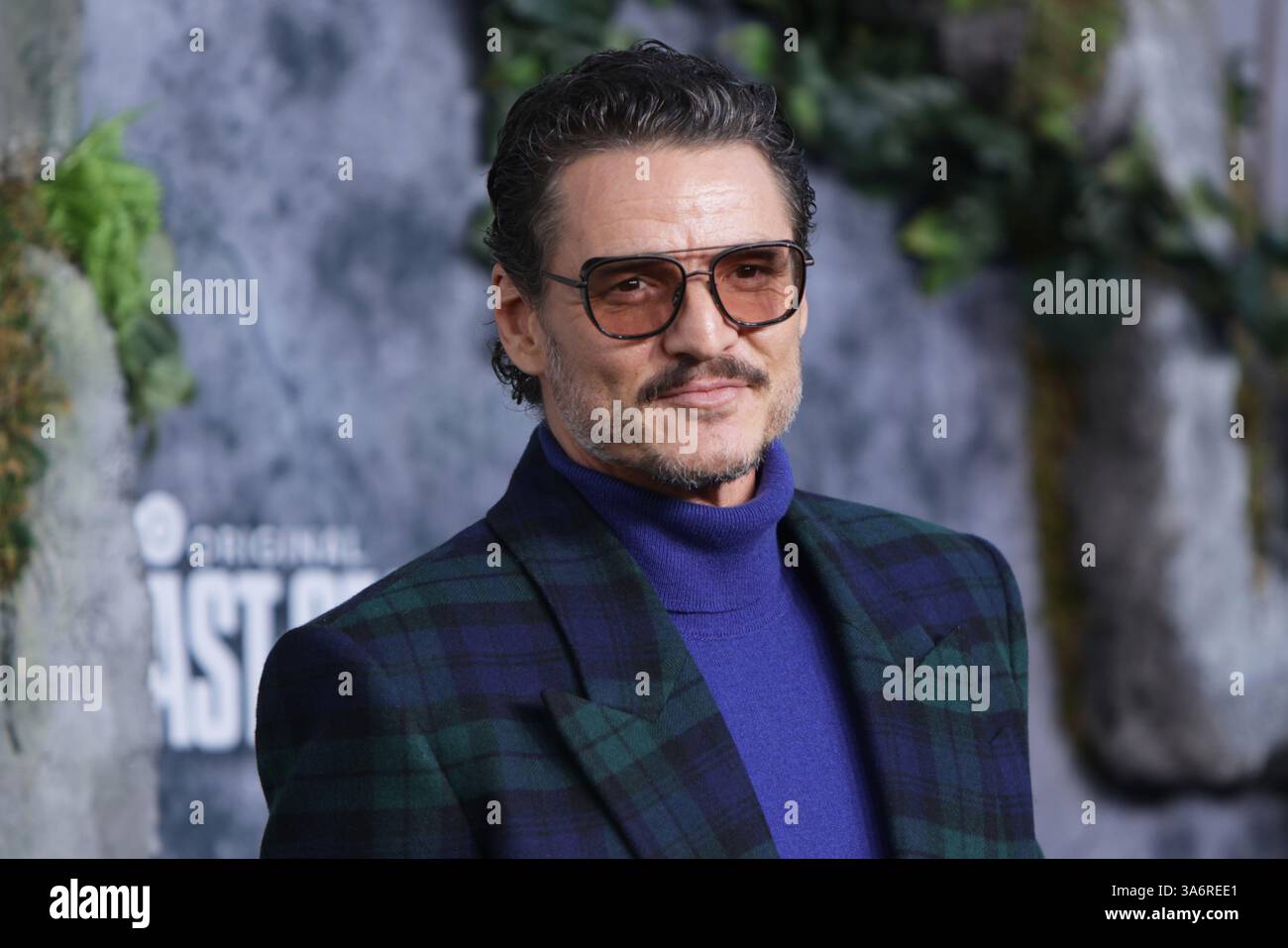 Los Angeles, USA. 25th Mar, 2025. Pedro Pascal attends the Los Angeles ...