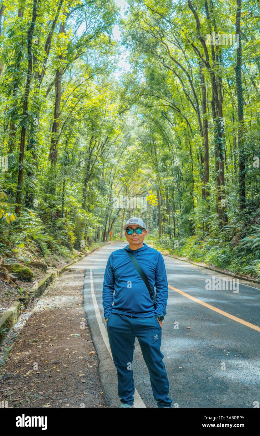 Enchanting Bilar Man-Made Forest in Bohol – A Scenic Canopy of Mahogany ...