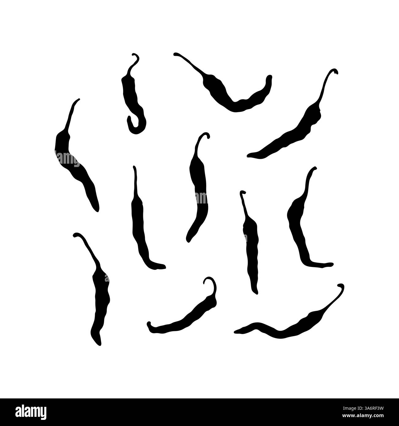 Chili pepper clipart hand drawing Stock Vector Image & Art - Alamy