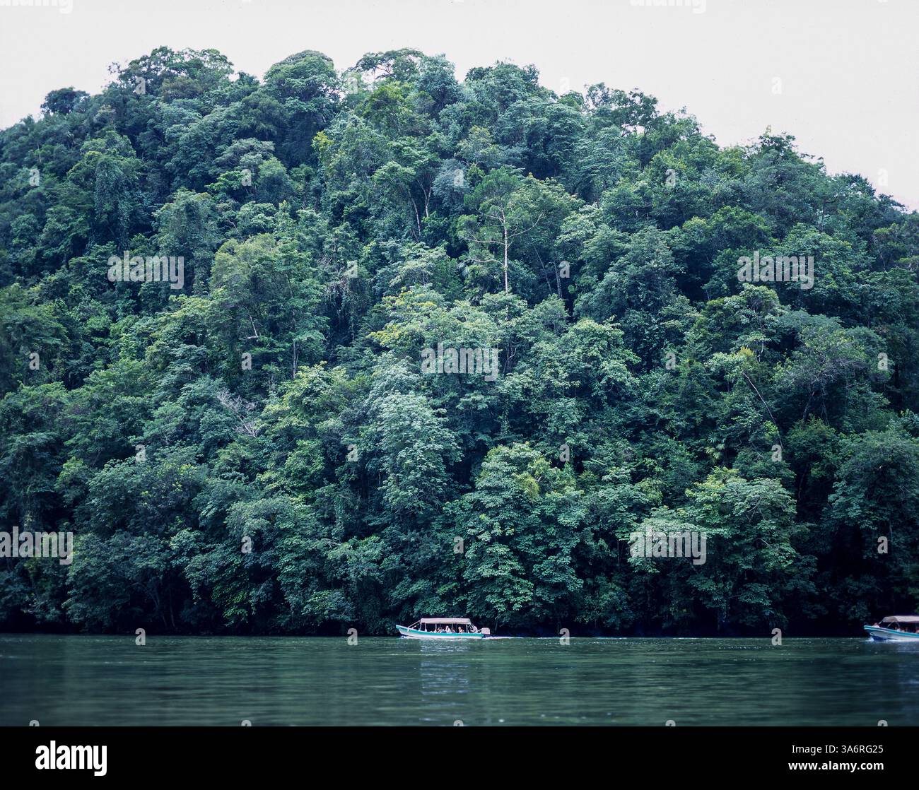 Chocón-Machacas natural reserve, Rio Dulce,Guatemala Stock Photo - Alamy