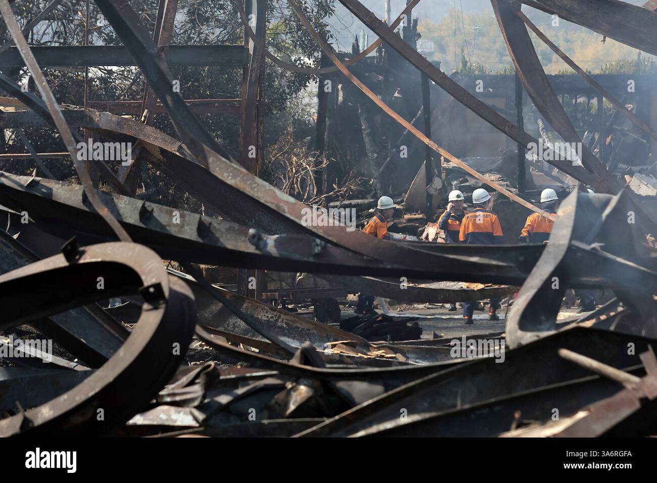A photo shows burnt houses due to forest fire in Imabari City, Ehime ...
