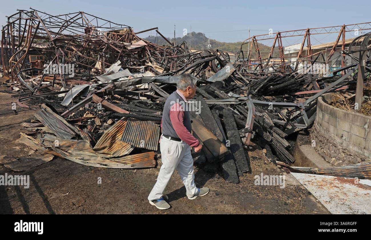 A photo shows burnt houses due to forest fire in Imabari City, Ehime ...