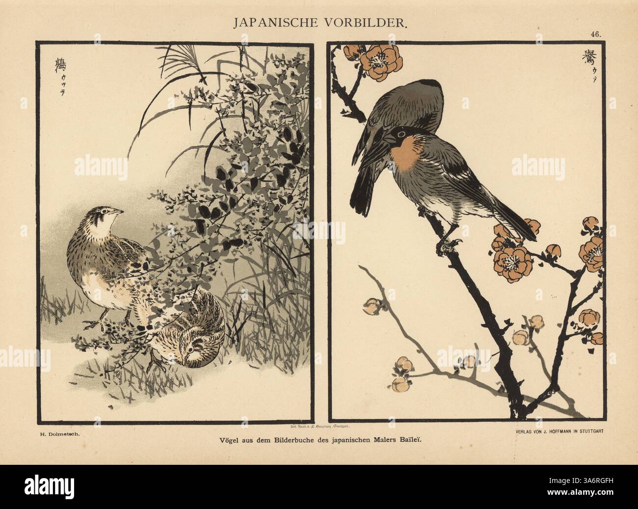 Birds and flowers from the kacho-e Picture Book of 100 Birds by ...