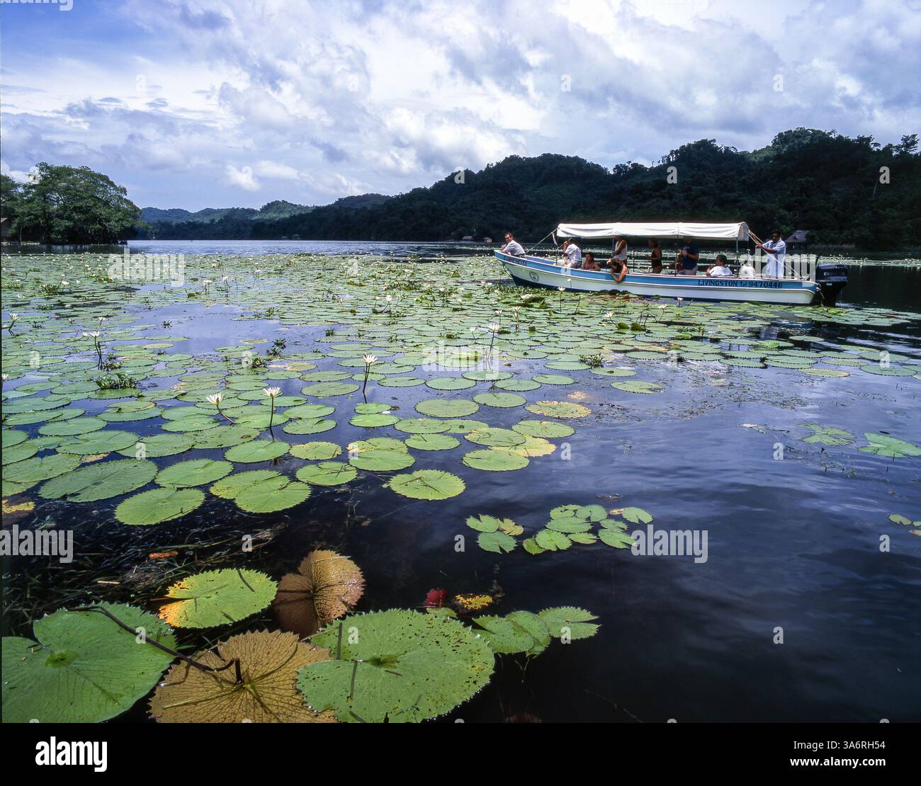 Guatemala.Costa oriental.Rio Dulce.Reserva Natural de Chocón-Machacas ...