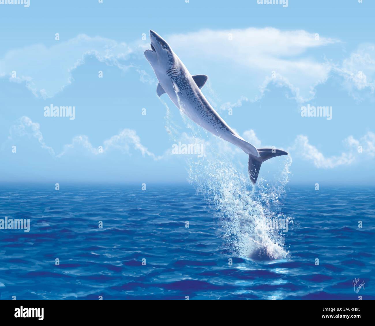 Illustration of the giant eugneodontid chondrichthyan Helicoprion ...